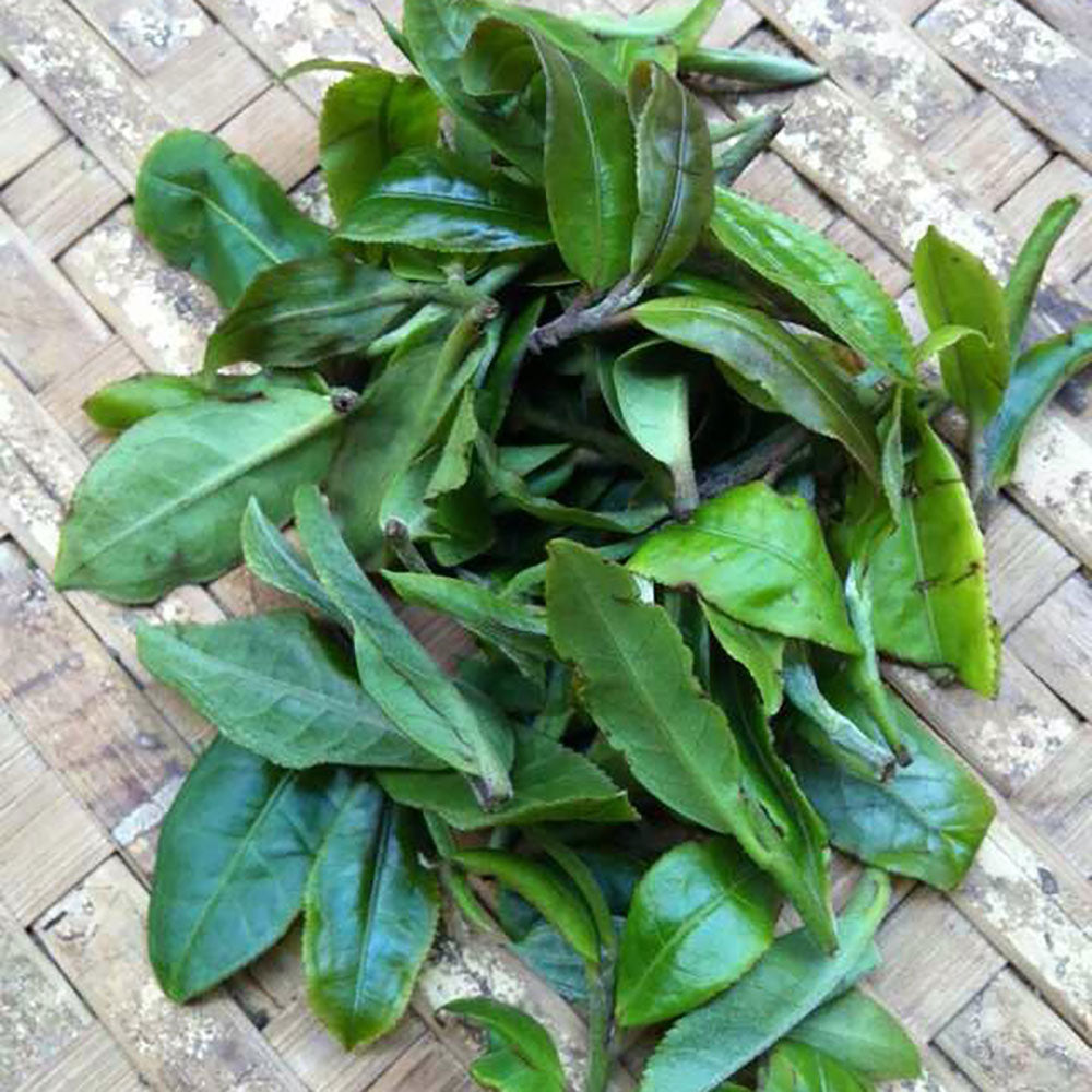 What is Single Origin Tea? – Tea Journeys